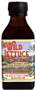 The Wild Lettuce Company - Wild Lettuce Products - Wildlettuce.com