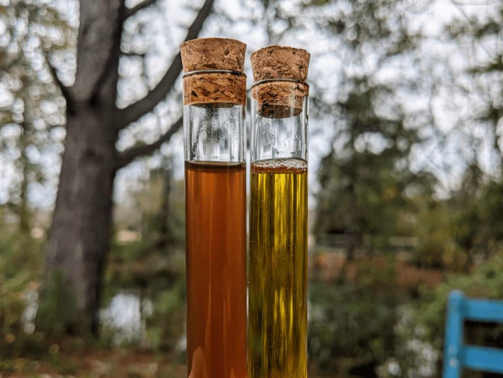 December 2022 Update - Wild lettuce, lactucarium, tincture, tea, and ...